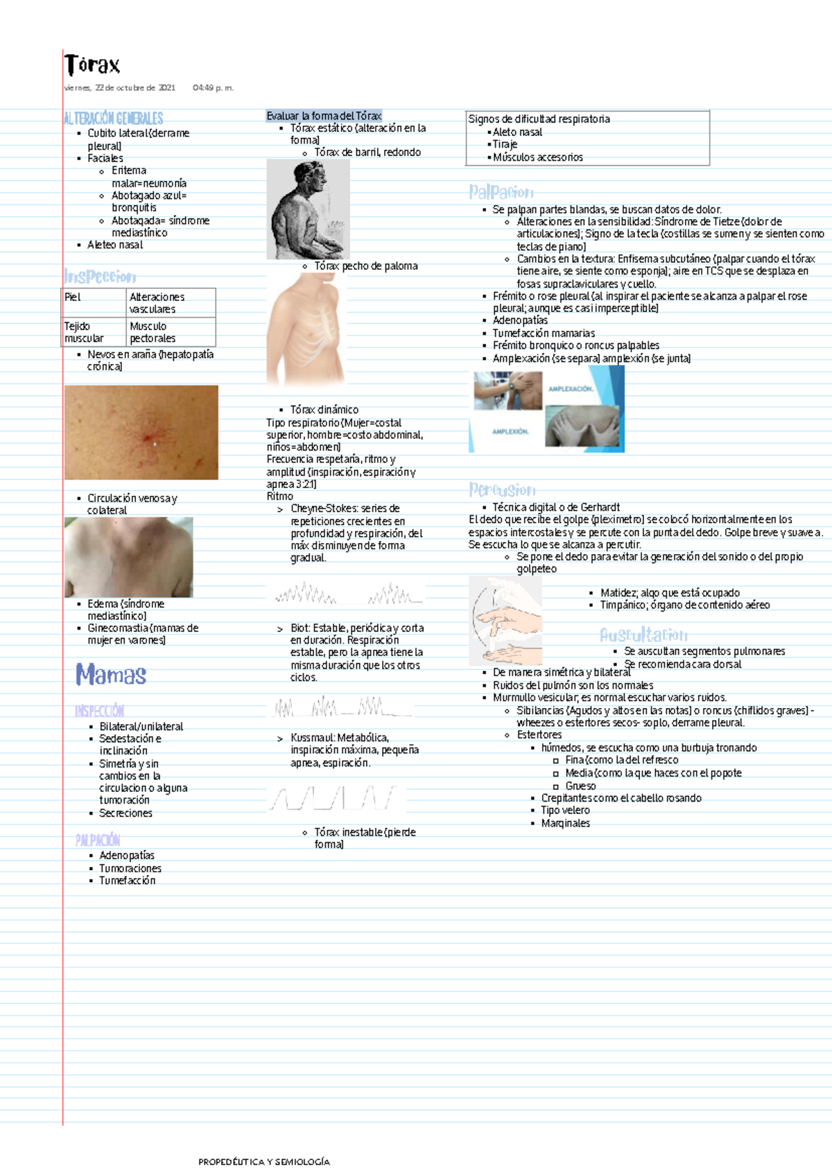 Tórax (exploración, inspección, palpación y auscultación) - Enfermeria ...