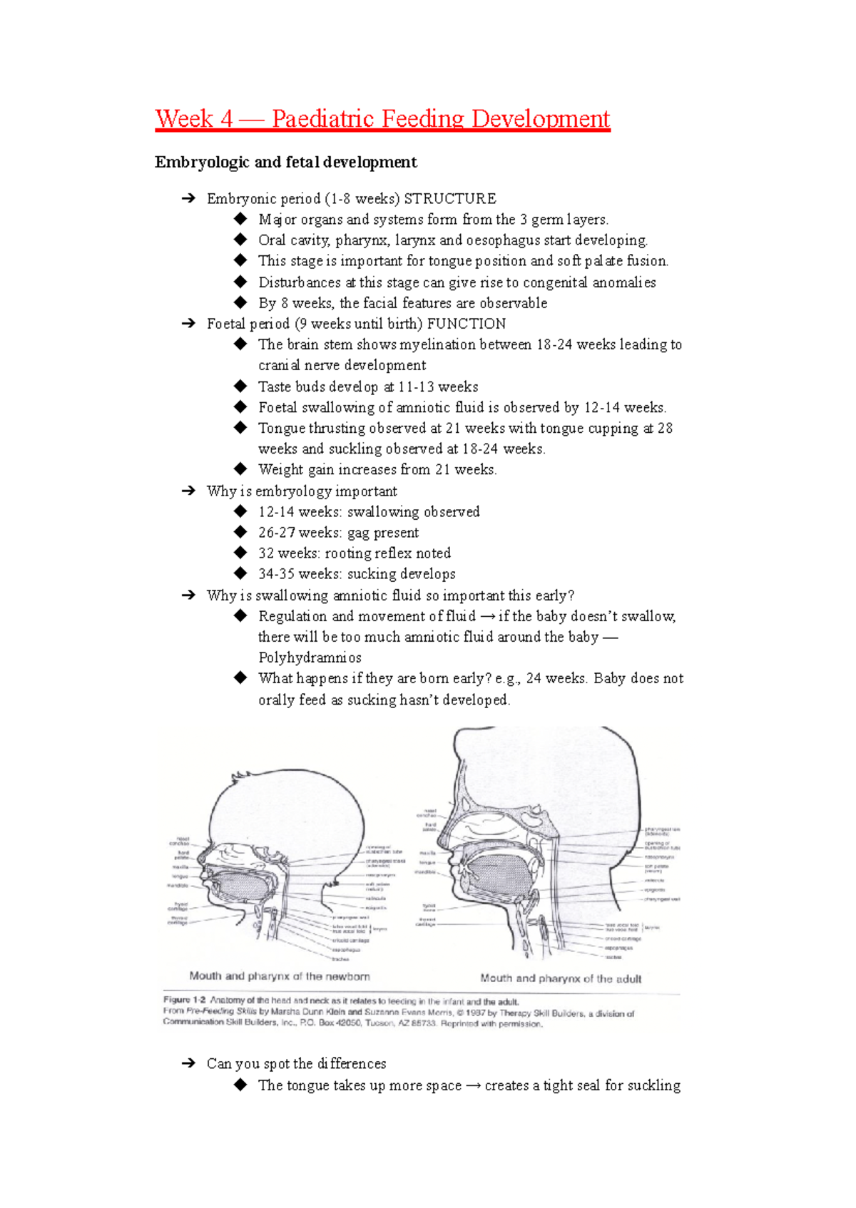 Week 4 - Paediatric Feeding Development - Week 4 — Paediatric Feeding ...