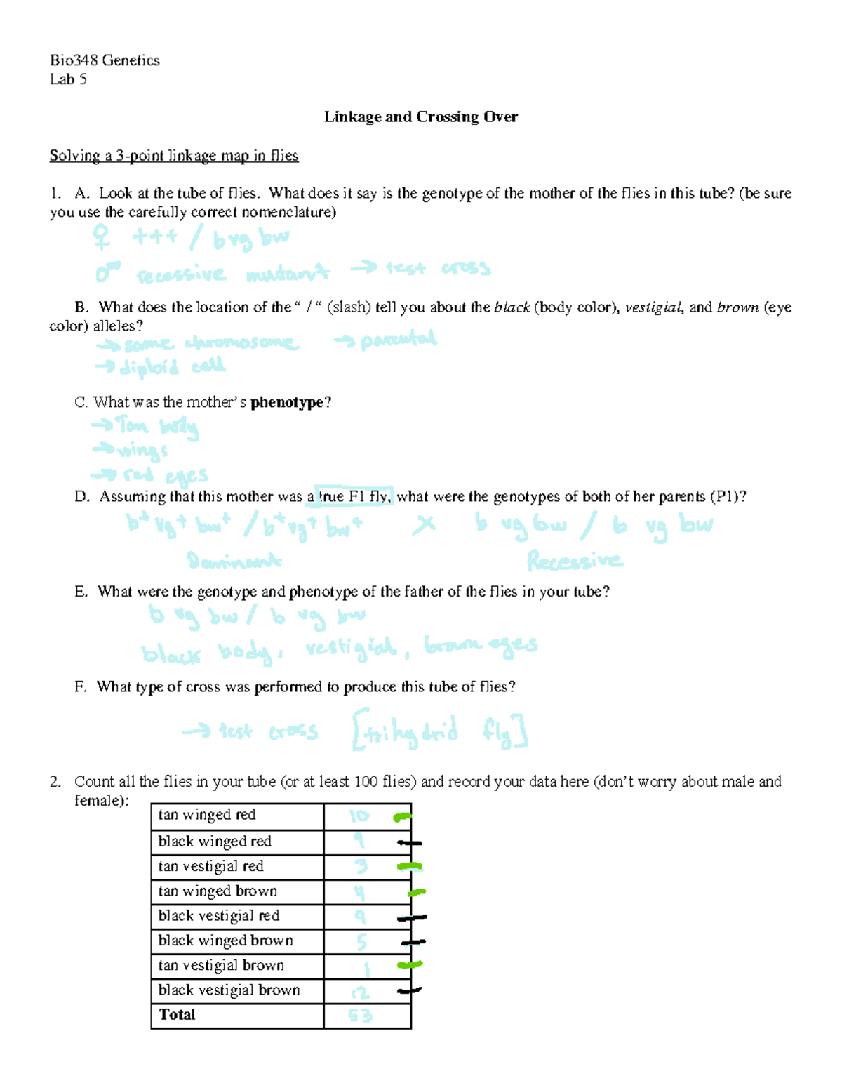 Lab5.Linkage.Recombination copy - Bio348 GeneticsLab 5 Solving a 3 ...