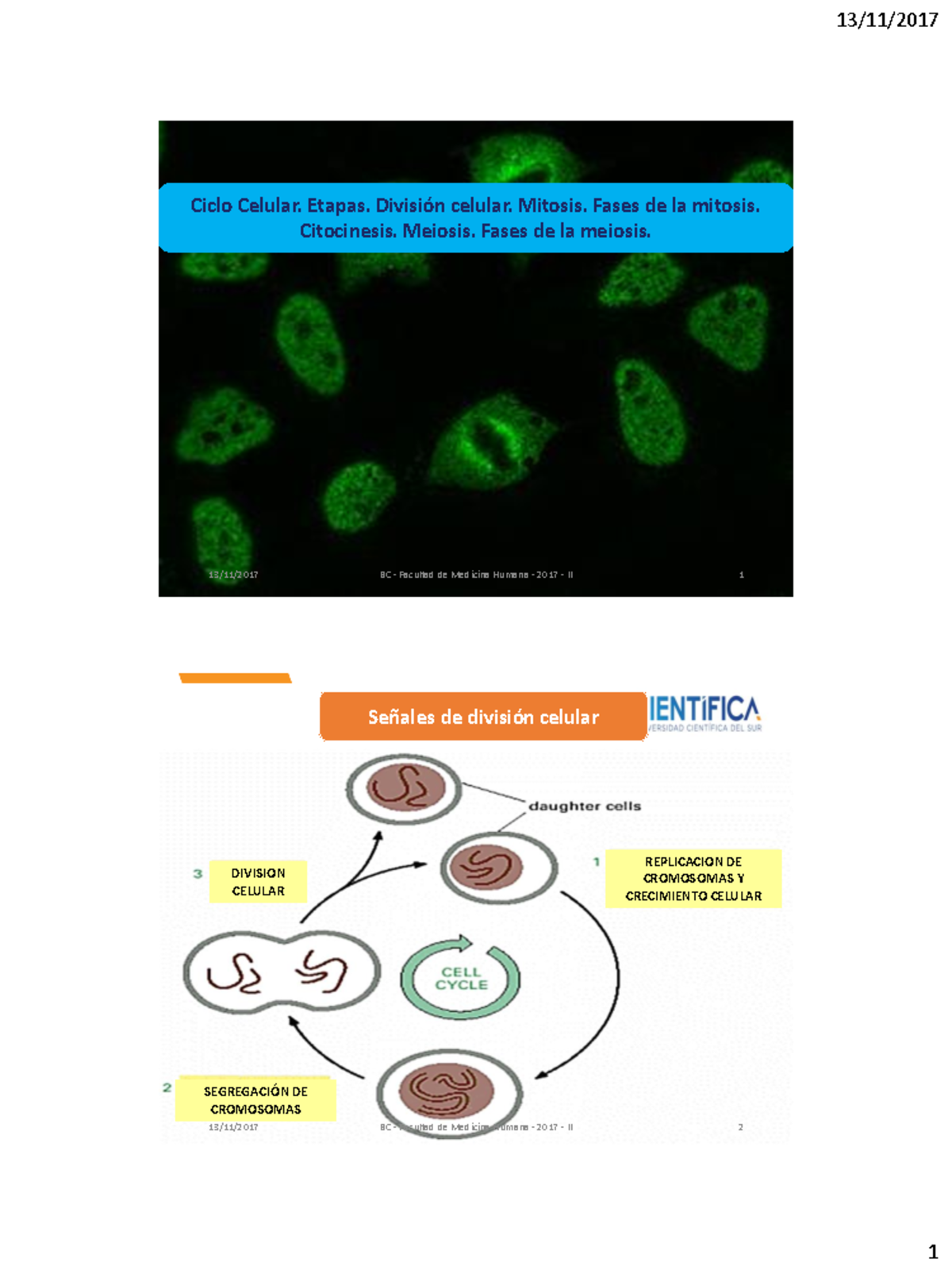 BC - Control de Ciclo celular - 2017 - I - Warning: TT: undefined function: 32 Warning: TT ...