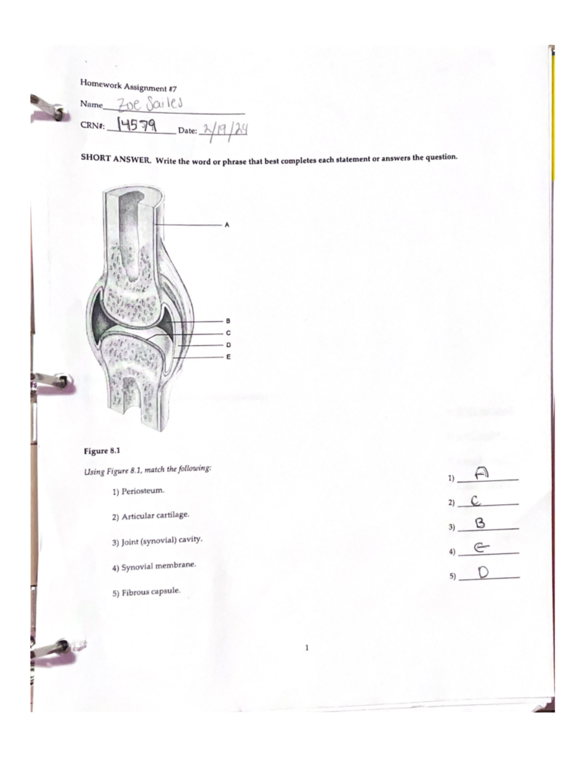 Homework Assignment #7 - BIOL2114 - Studocu