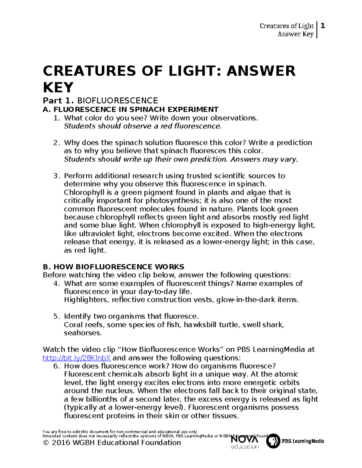 COL Activity Answer Key - Answer Key CREATURES OF LIGHT: ANSWER KEY ...