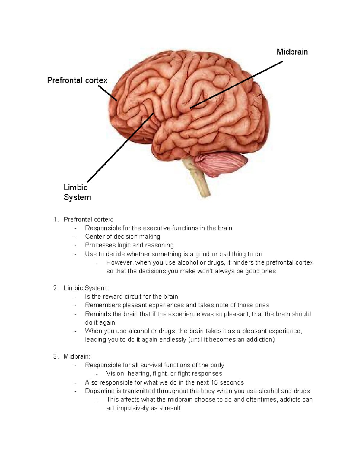 Addiction and the Brain - Prefrontal cortex: Responsible for the ...