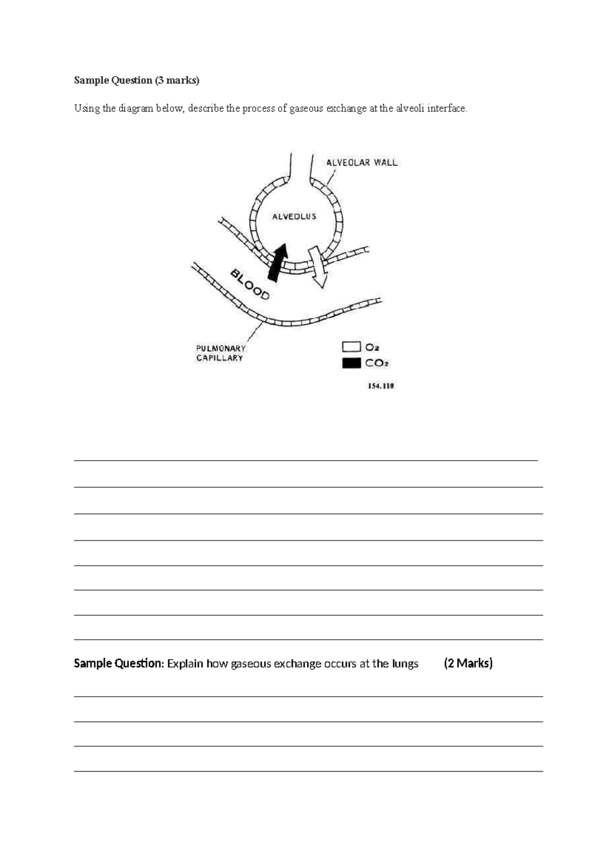 Sample SAC questions - Sample Question (3 marks) Using the diagram ...