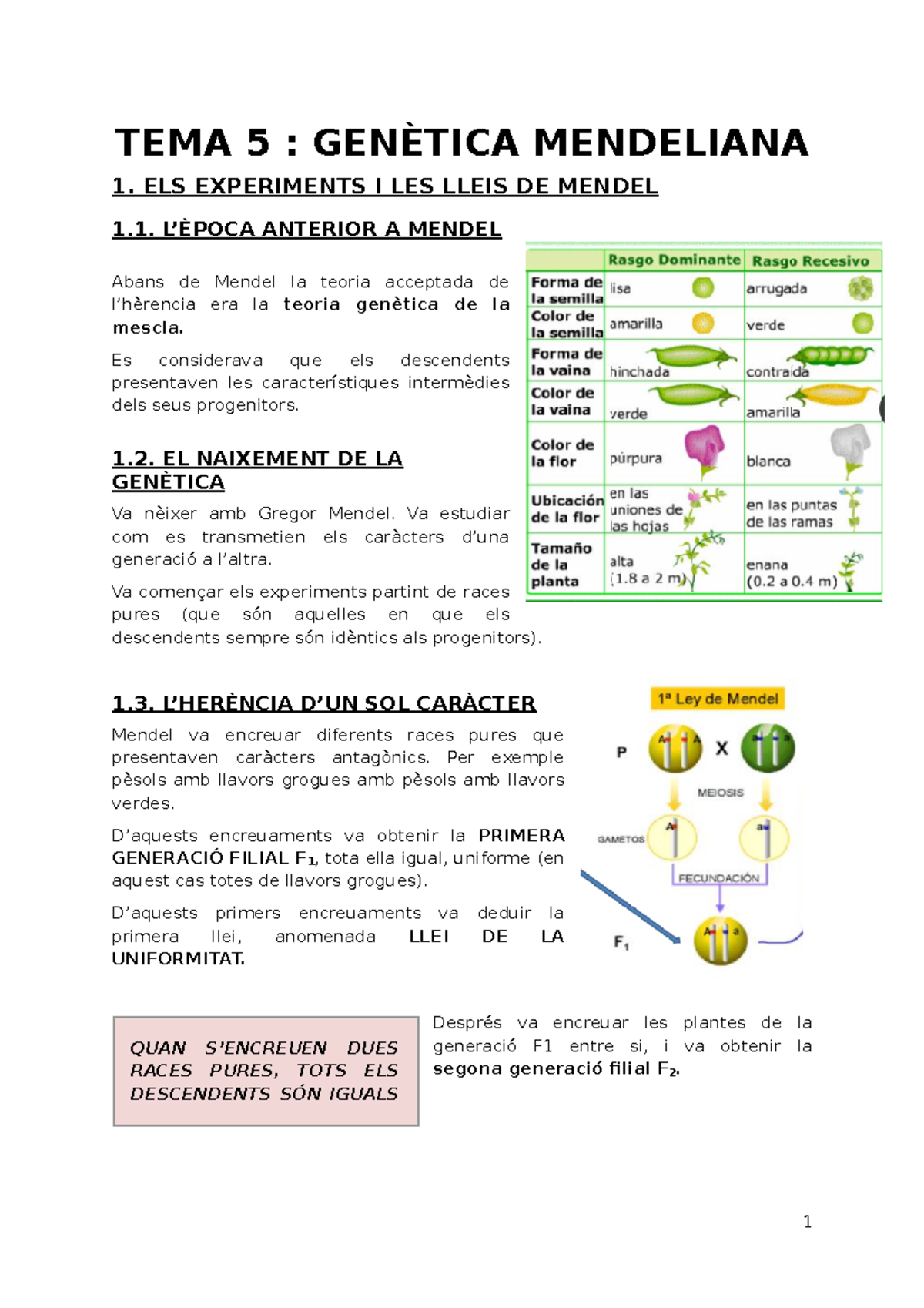 TEMA 5 GENÈTICA Mendeliana - TEMA 5 : GENÈTICA MENDELIANA 1. ELS ...