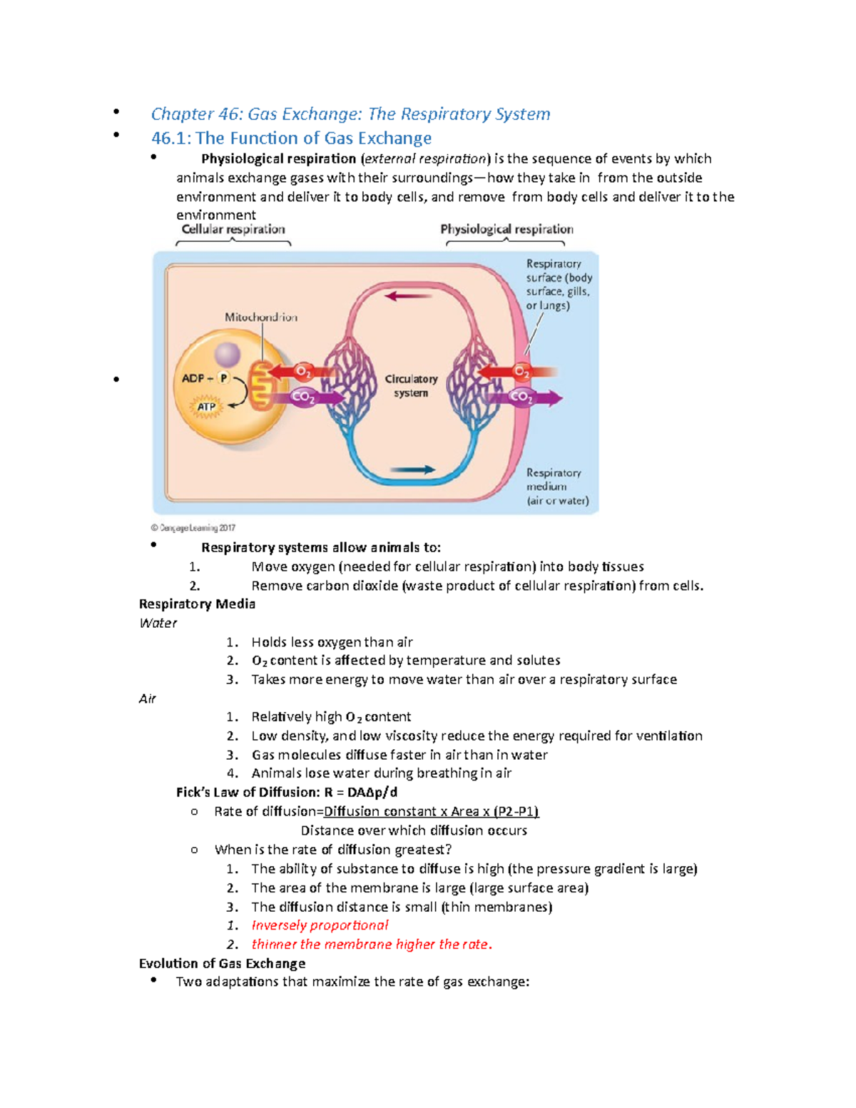 Chapter 46 - Chapter 46: Gas Exchange: The Respiratory System 46: The ...