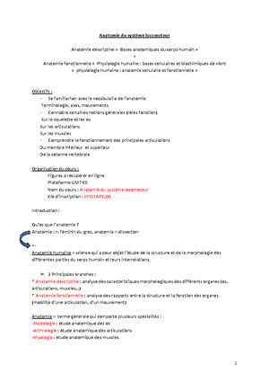Anatomie descriptive et fonctionnelle du système locomoteur - Anatomie ...