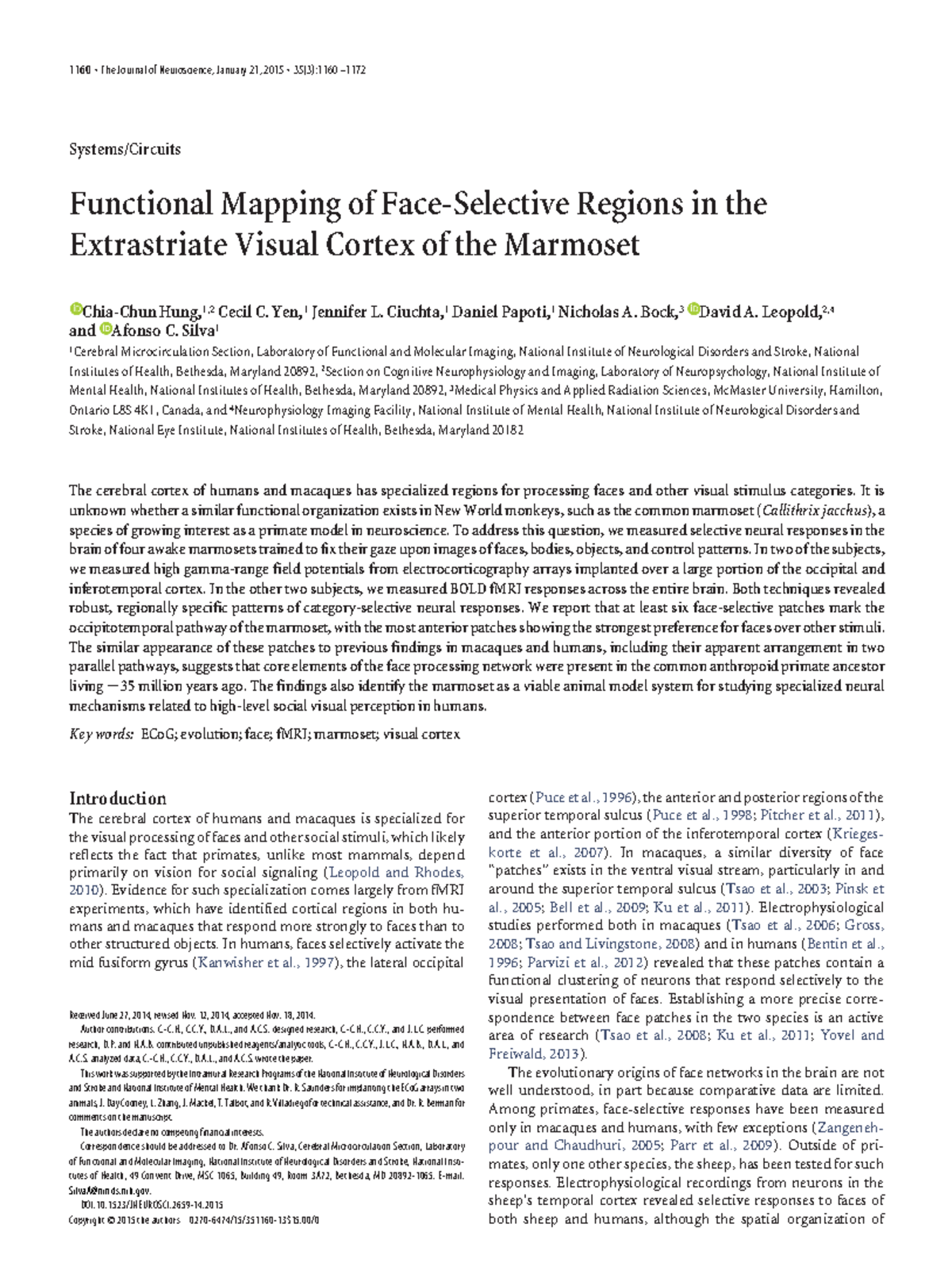 Functional Mapping Of Face Selective Reg Systemscircuits Functional Mapping Of Face Selective