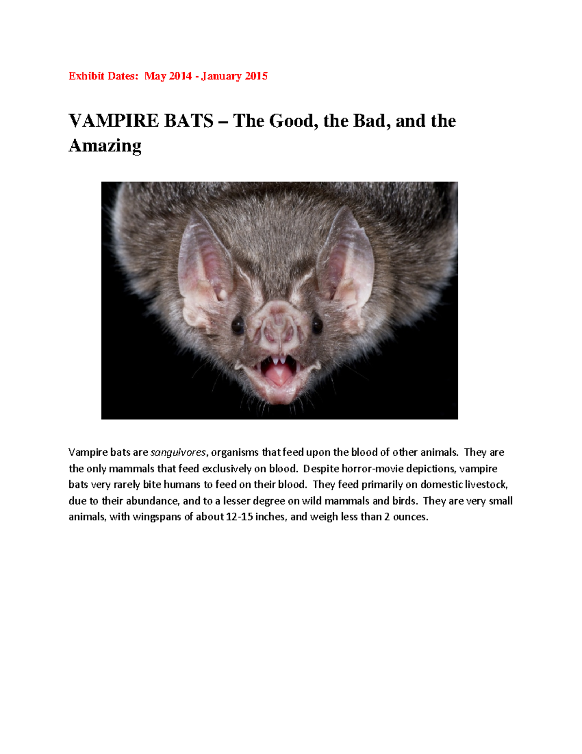 Vampire Bat Reading - hhhh - Exhibit Dates: May 2014 - January 2015 ...