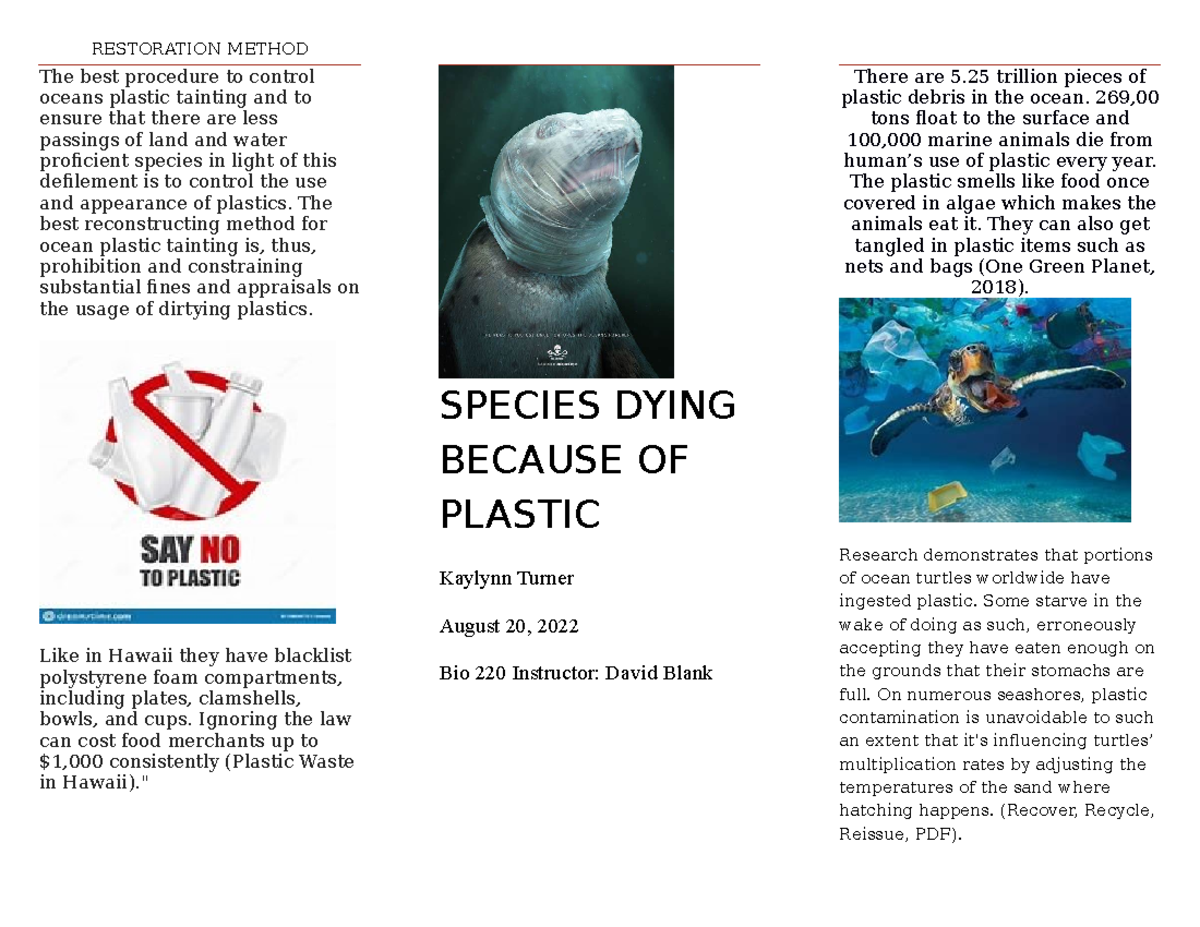 Kaylynnturner pamphlet - RESTORATION METHOD The best procedure to ...