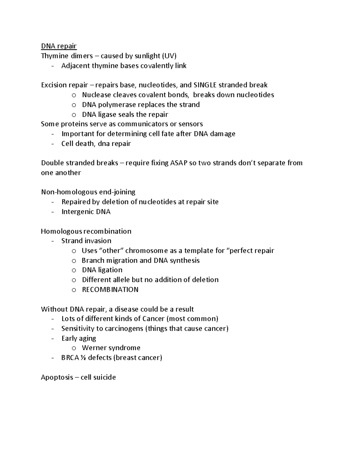 DNA repair cell bio - Study notes to help with Cellular and Molecular ...