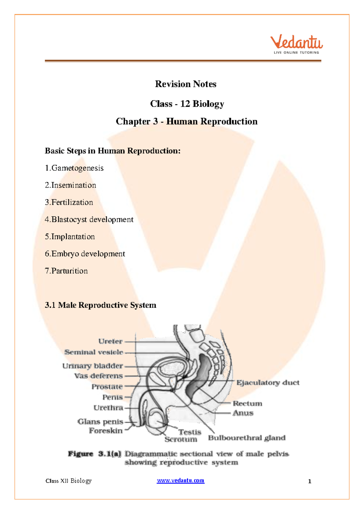 Class 12 Biology Chapter 3 Revision Notes - Revision Notes Class - 12 ...