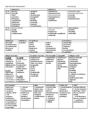 CPH-Internship-Handbook - HANDBOOK for Community and Public Health ...