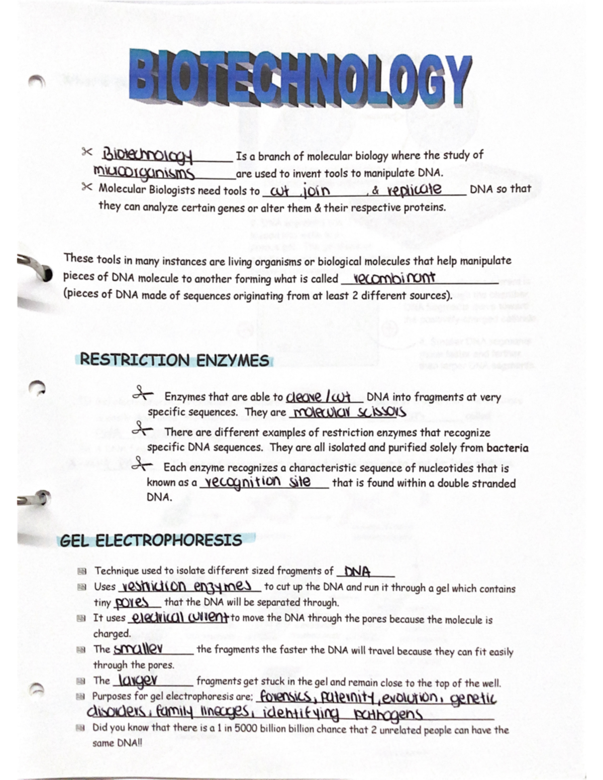 Biotechnology Notes - BIOTECHNOLOGY Is a branch of molecular biology ...