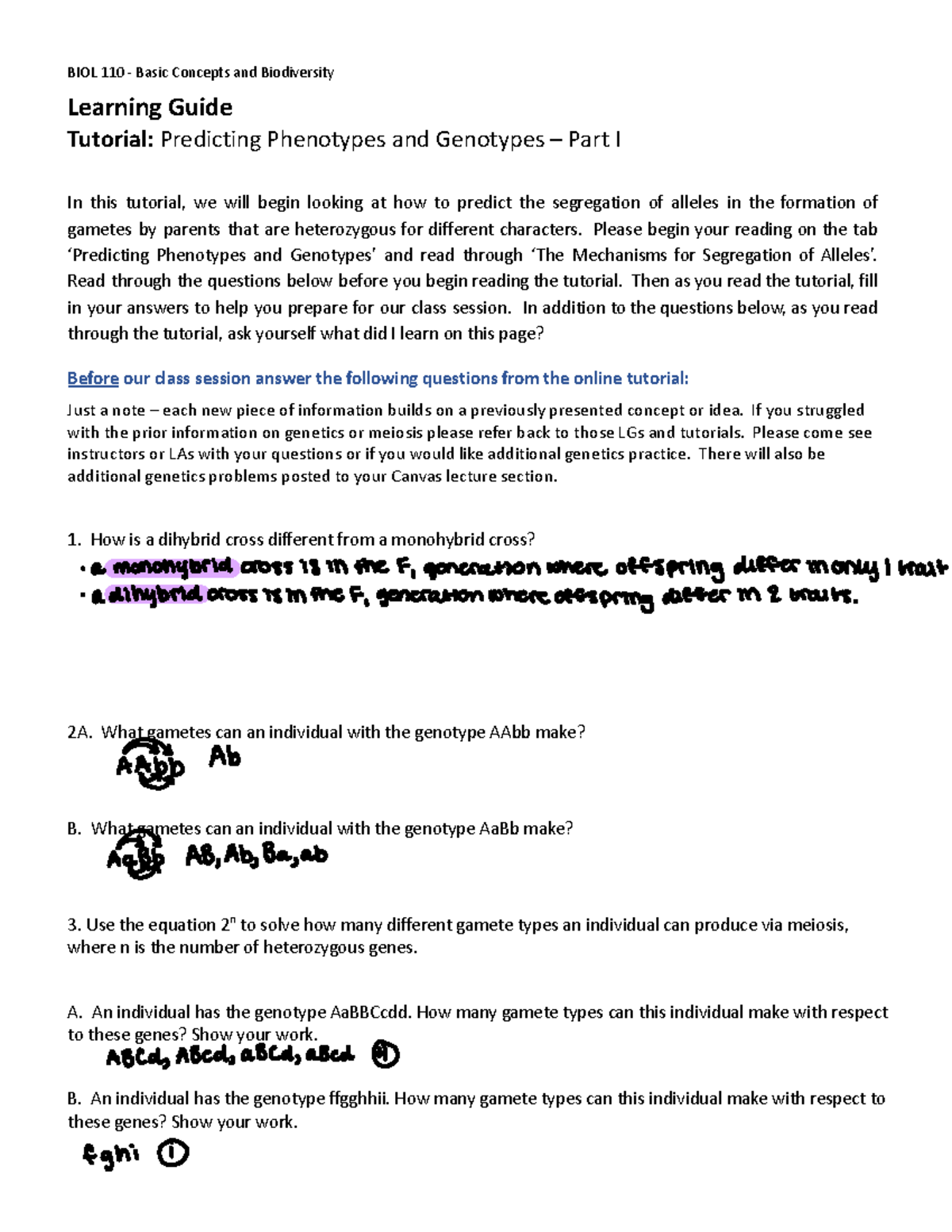 Bio 110 tutorial 13 pt 1 - bio 110, Denise woodward - BIOL 110 - Basic ...