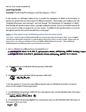 BIOL 110 Learning Guide for Tutorial 12 The Biology of Fungi II - BIOL ...