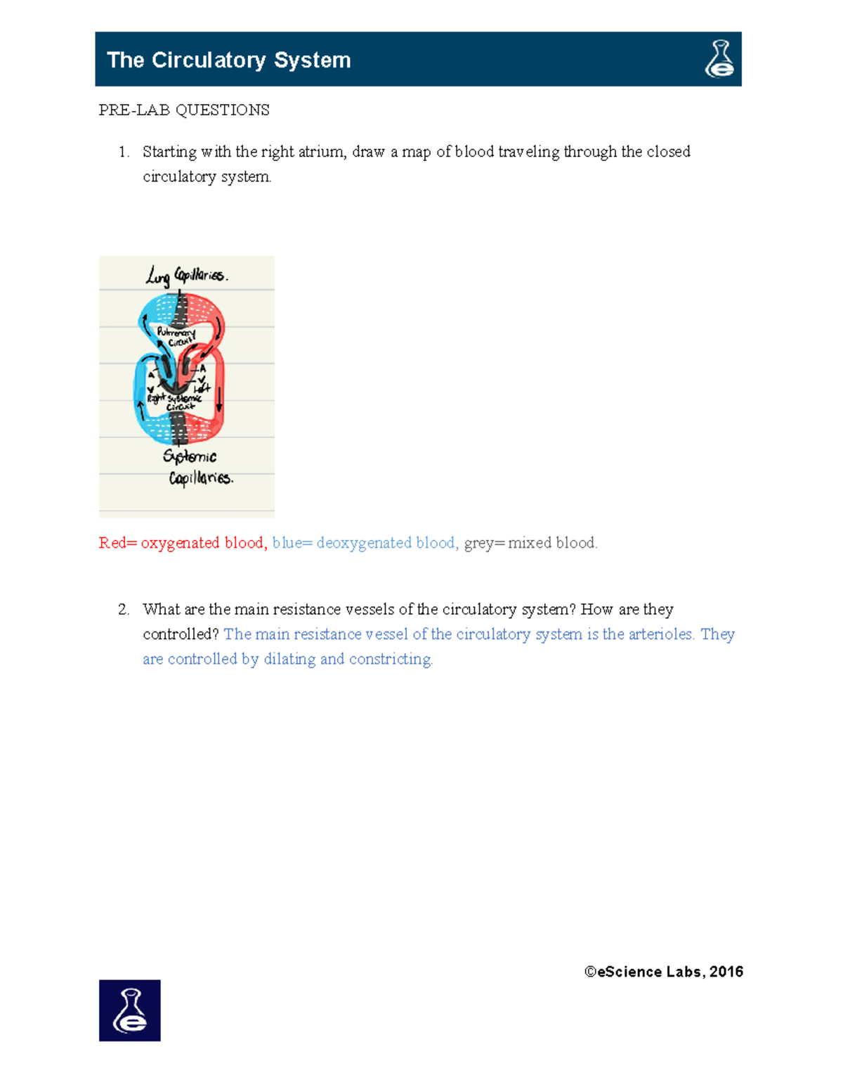 Lab Circulatory - 168 - PRE-LAB QUESTIONS Starting with the right ...