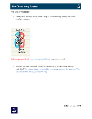 A&P CH 7 - BIO-168 - Divisions of the skeletal system Bone Markings ...