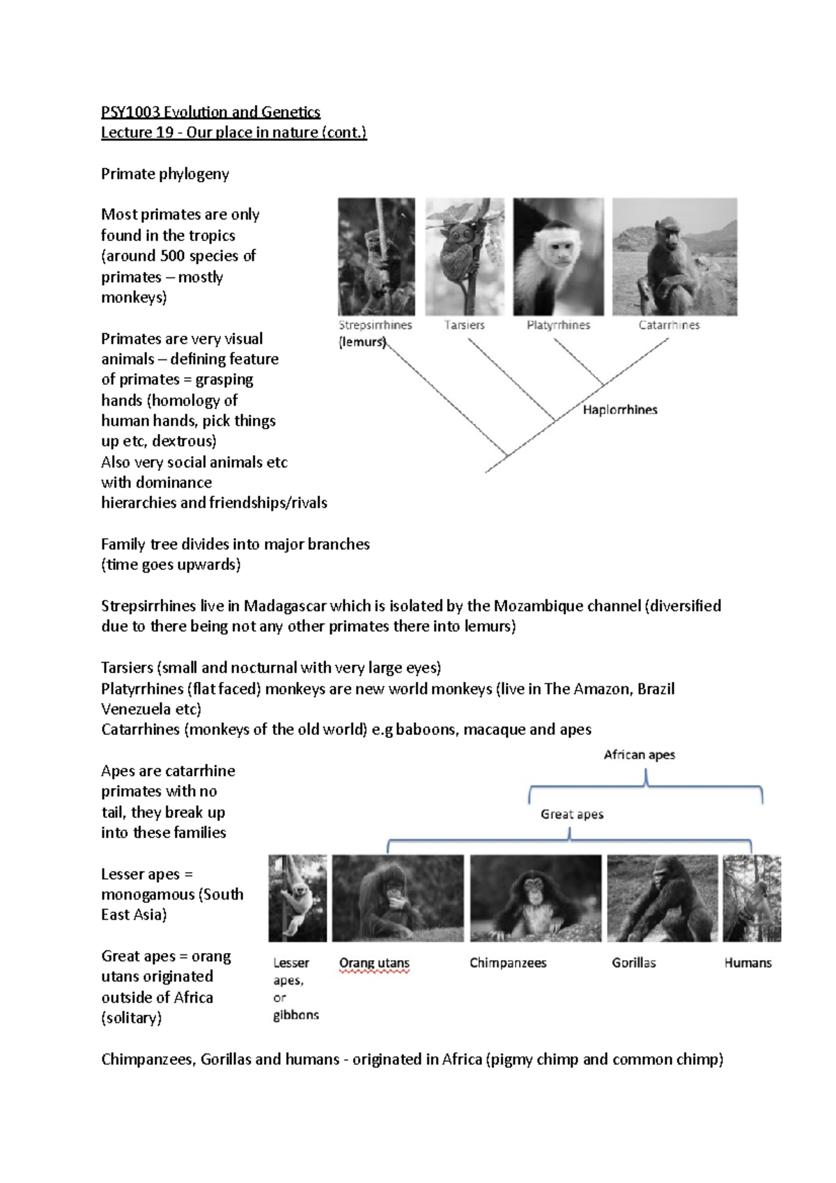 Evolution and Genetics L19 - PSY1003 Evolution and Genetics Lecture 19 ...