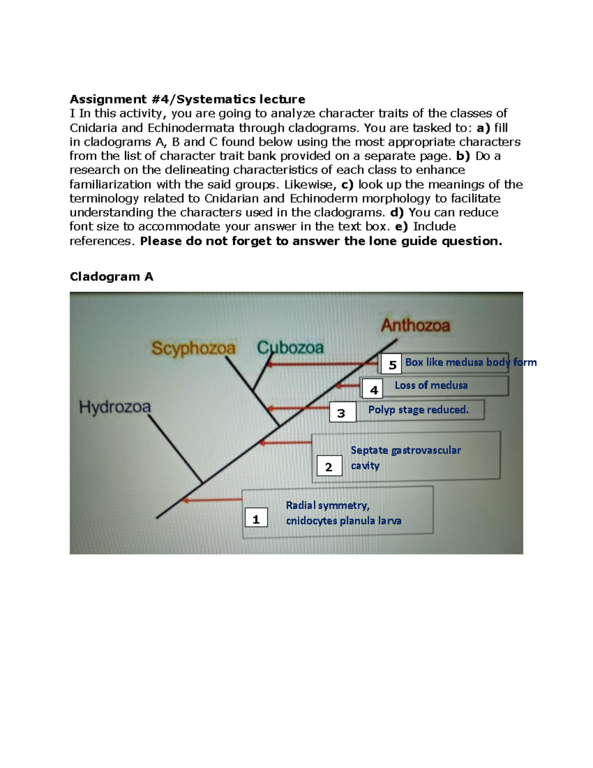 Assignment 4 Character traits and Cladograms Bornea - Assignment #4/Systematics lecture I In ...