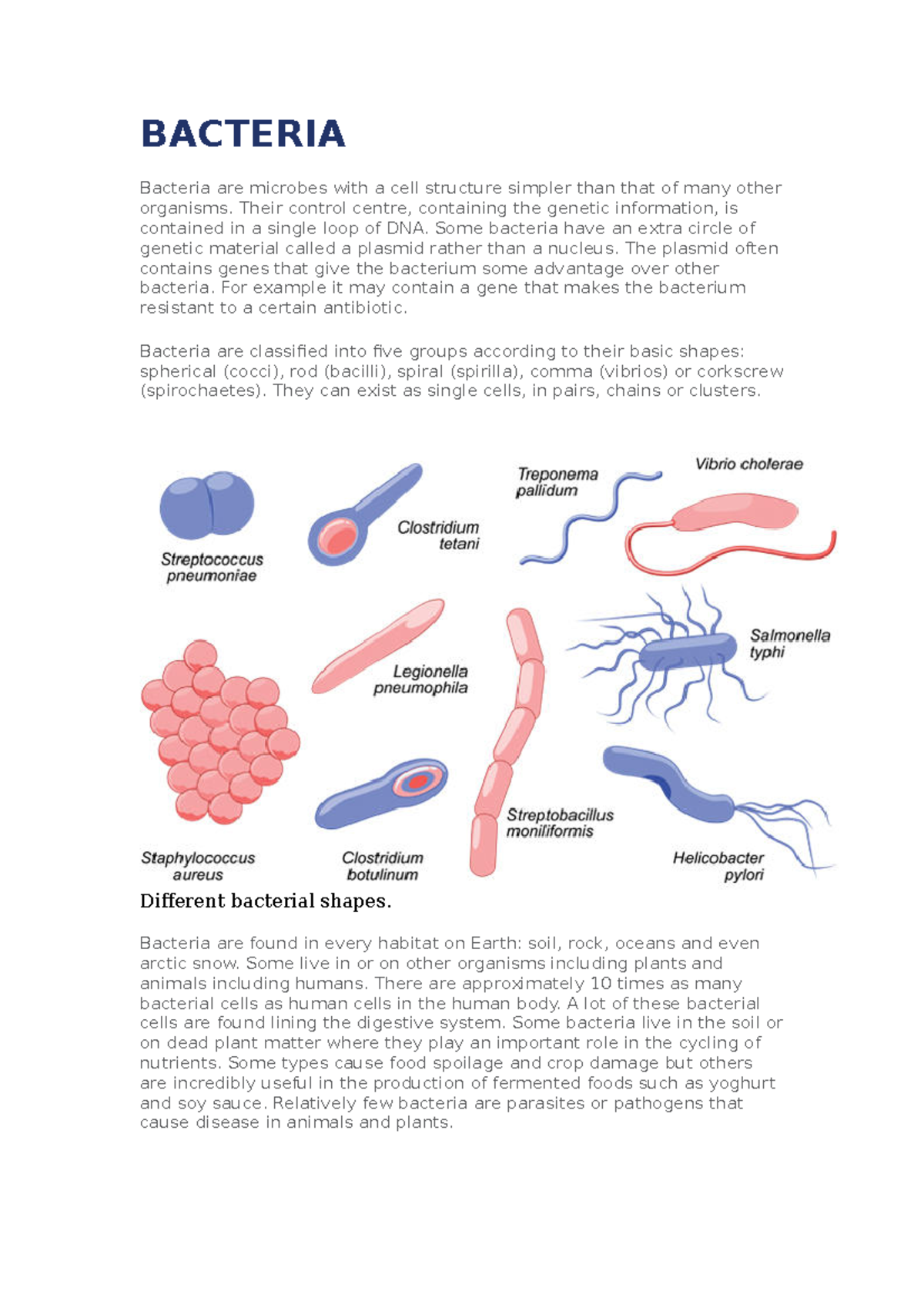 Introducing Bacteria - BACTERIA Bacteria are microbes with a cell ...