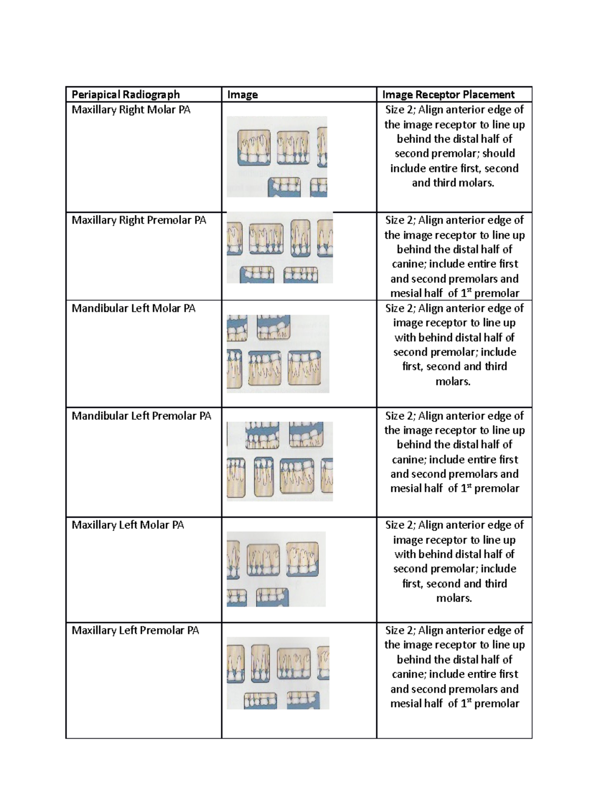 Image Receptor Placement - Size Align anterior edge of the image ...