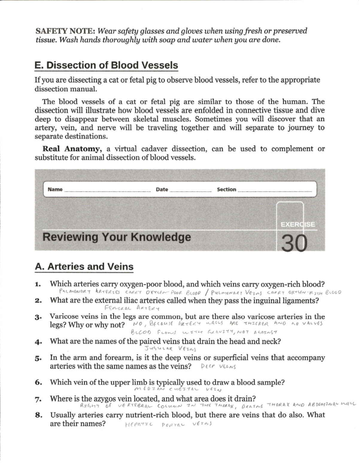 Lab 30: Blood Vessel Identification - ANAT 1552 - Studocu
