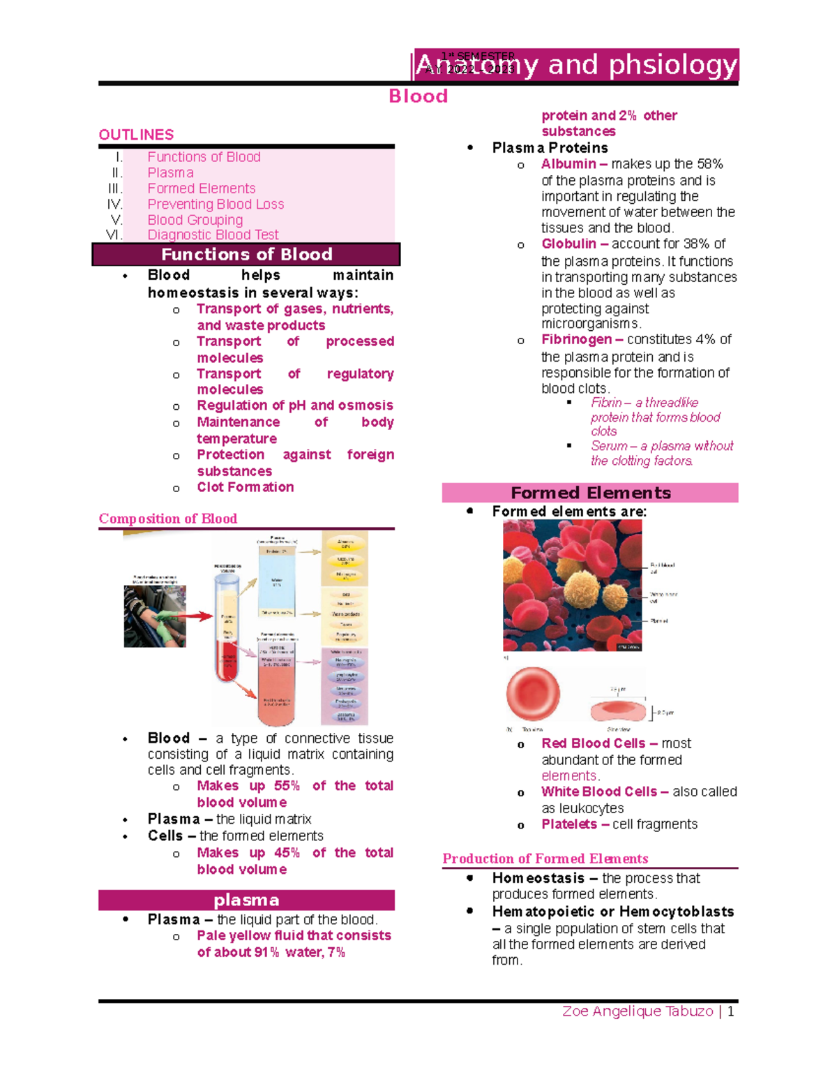 Blood - Anatomy and Physiology, first year. - |Anatomy and phsiology ...