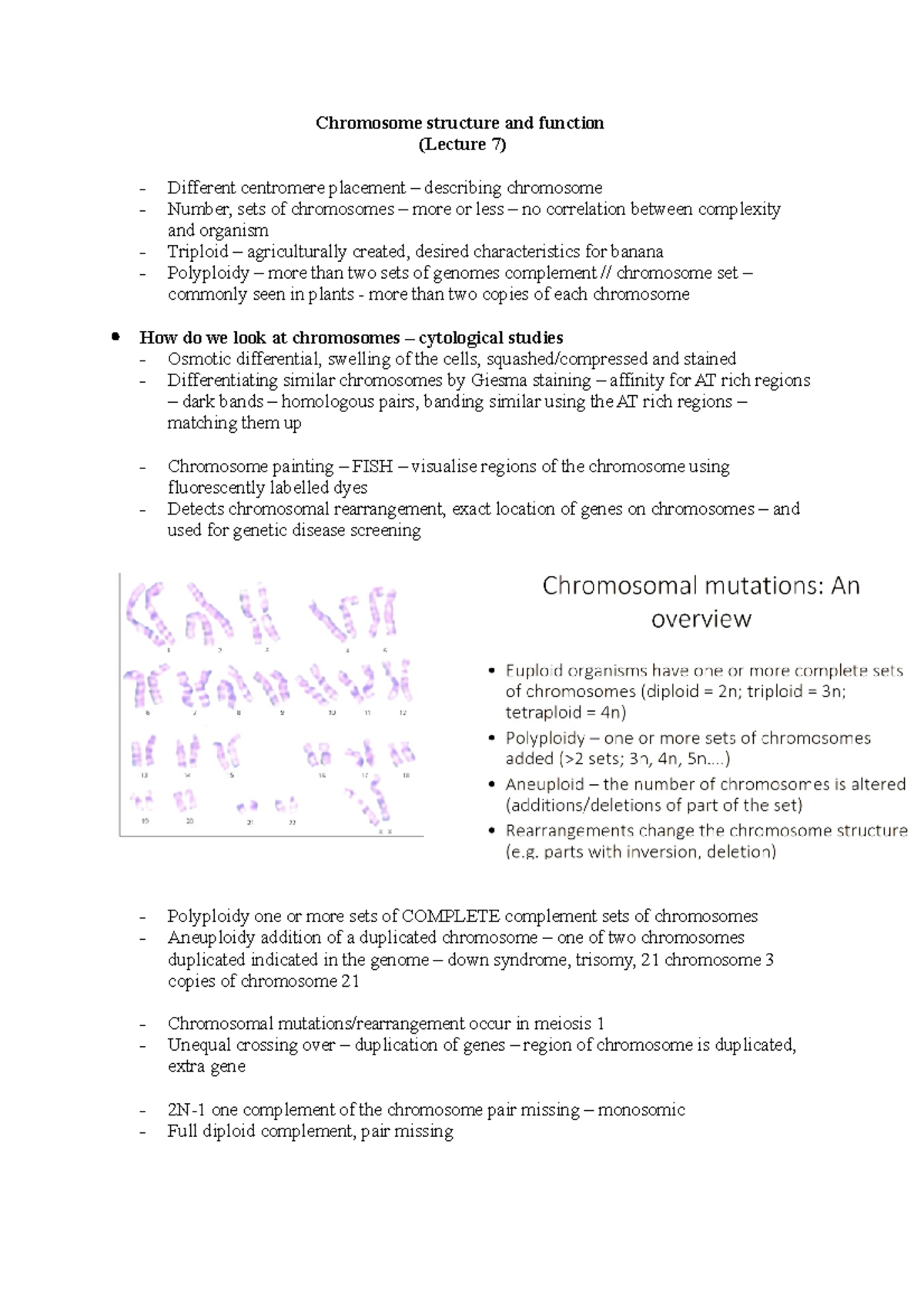 Chromosome structure and function (L7) - Chromosome structure and ...