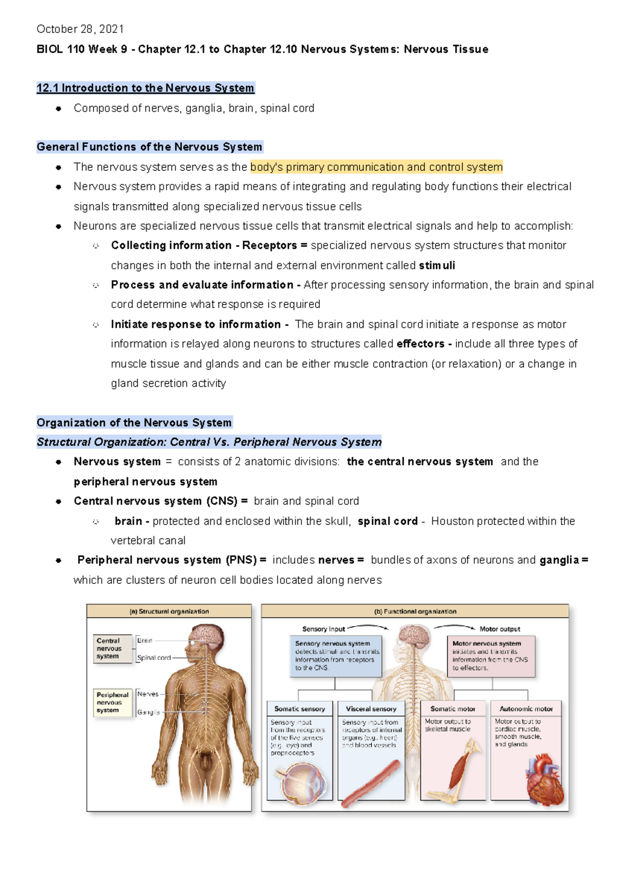 BIOL 110 Nervous Tissue - October 28, 2021 BIOL 110 Week 9 - Chapter 12 to Chapter 12 Nervous ...