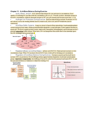 Exam 3 Review Physiology - Chapter 13 and 14: The Physiology of ...
