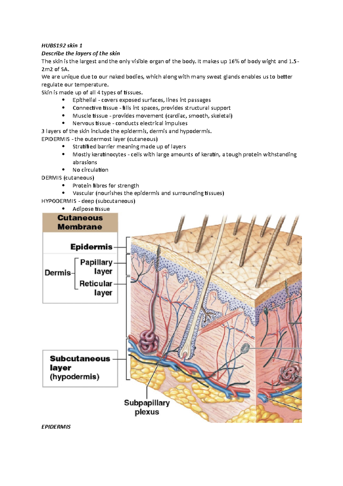 HUBS192 skin 1 - Lecture notes 2 - Human Body Systems 2 - University of ...