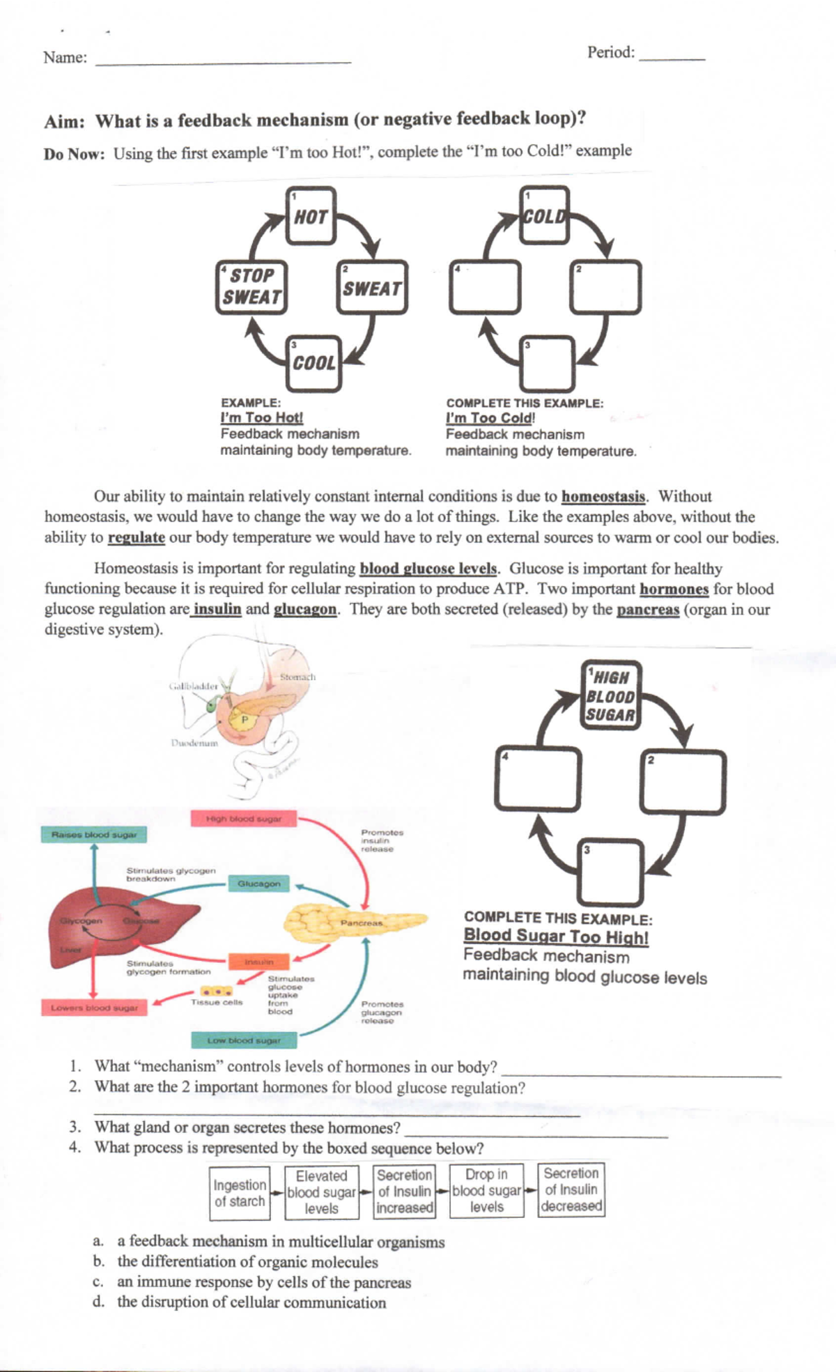 Homeostasis guided notes 2 - Name: Period: Aim: What is a feedback ...