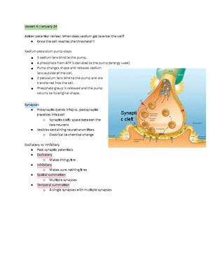 Unit 5 psych 220 - notes and diagrams - Lesson 4: March 9 Homeostasis ...