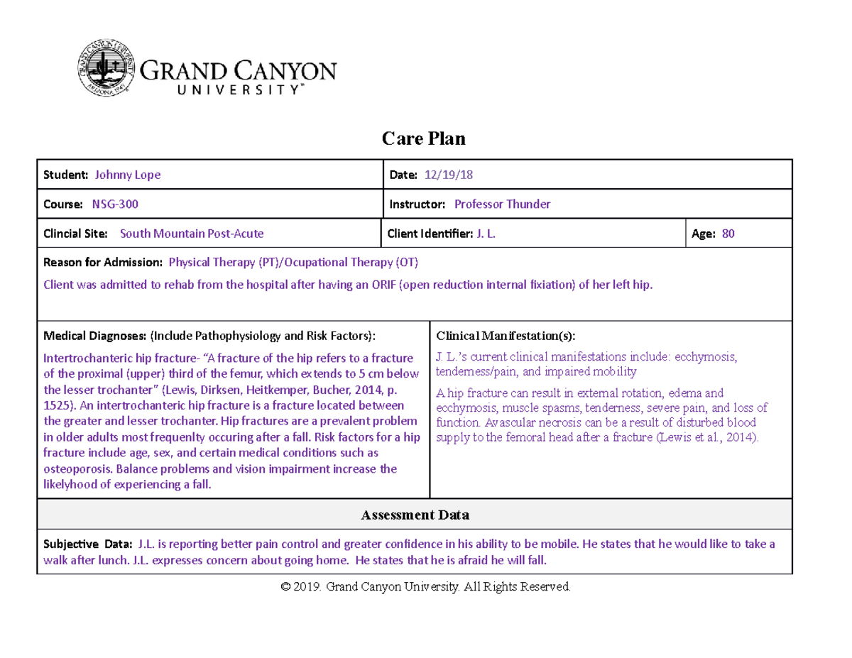 Care Plan Example - Care Plan Student: Johnny Lope Date: 12/19/ Course ...