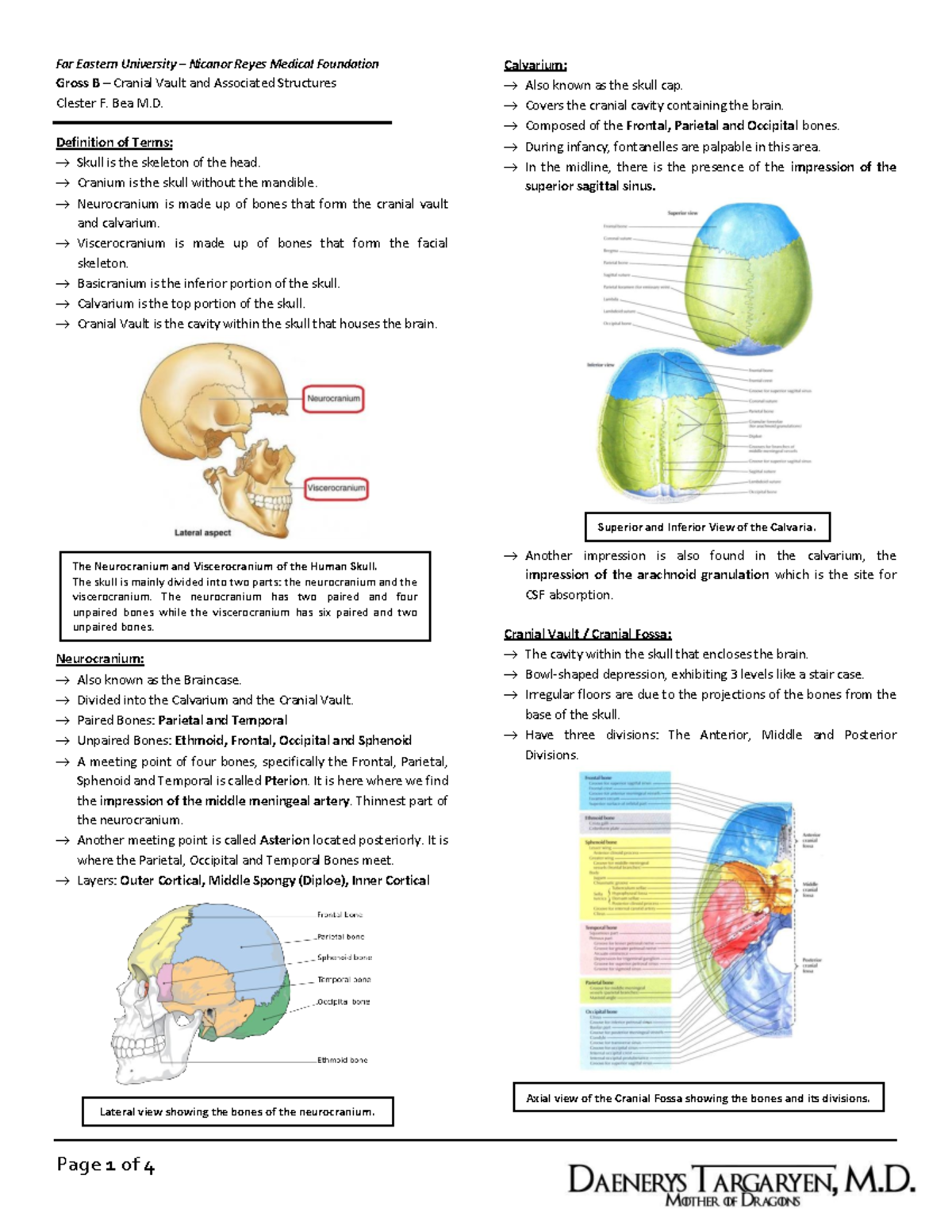 Gross B 2.13. Cranial Vault and Associated Structures - Far Eastern ...