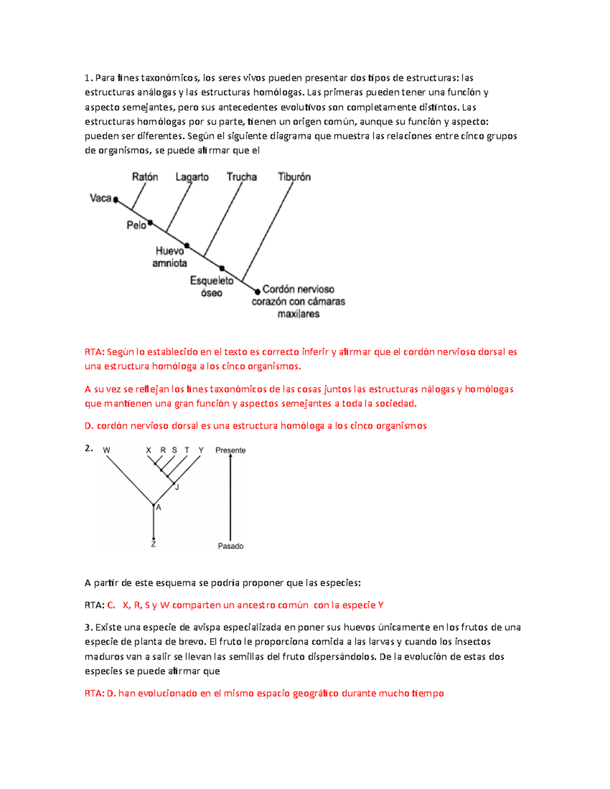 TCP2. Cladogramas - cladograma - Para fines taxonómicos, los seres ...