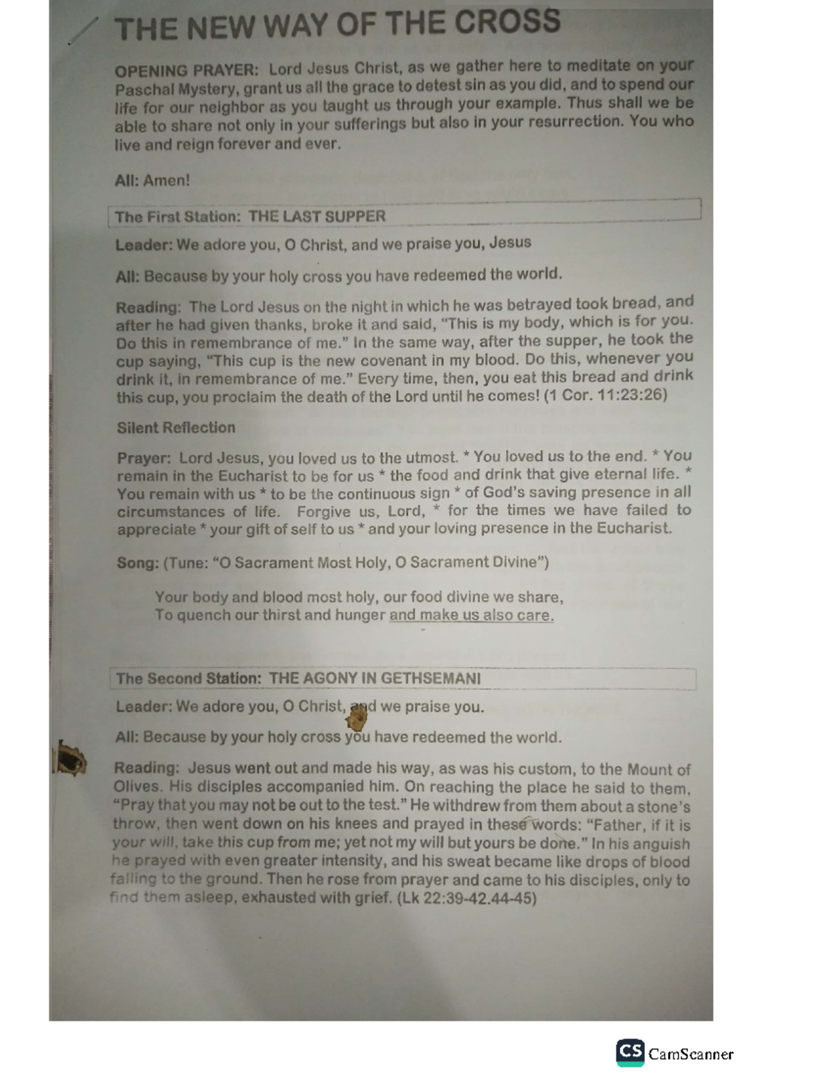 Station of the Cross - prayer holy week - THE NEW WAY OF THE CROSS ...