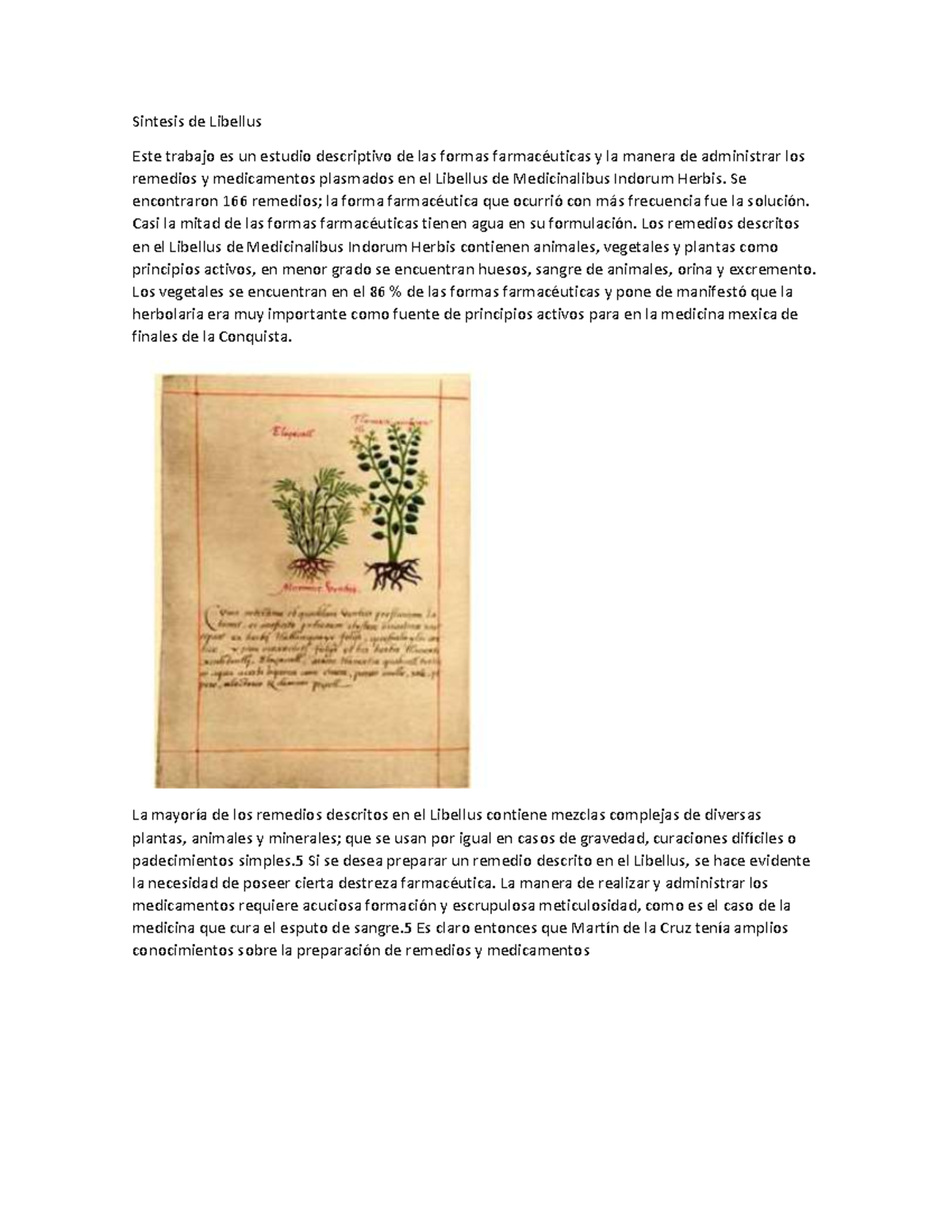 Sintesis de Libellus - s La libélula tiene dos grandes ojos compuestos ...