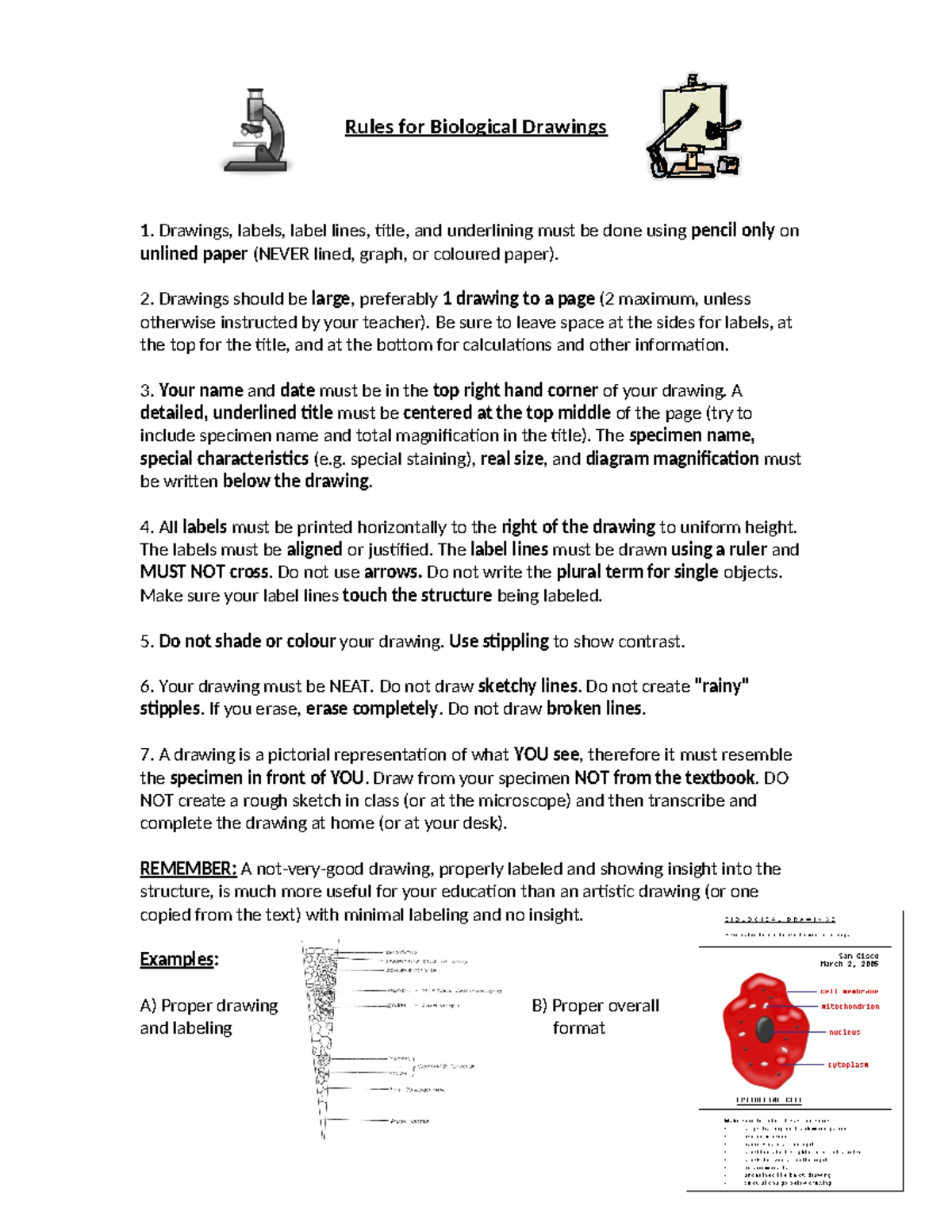 Rules for Biological Drawings - Rules for Biological Drawings Drawings ...