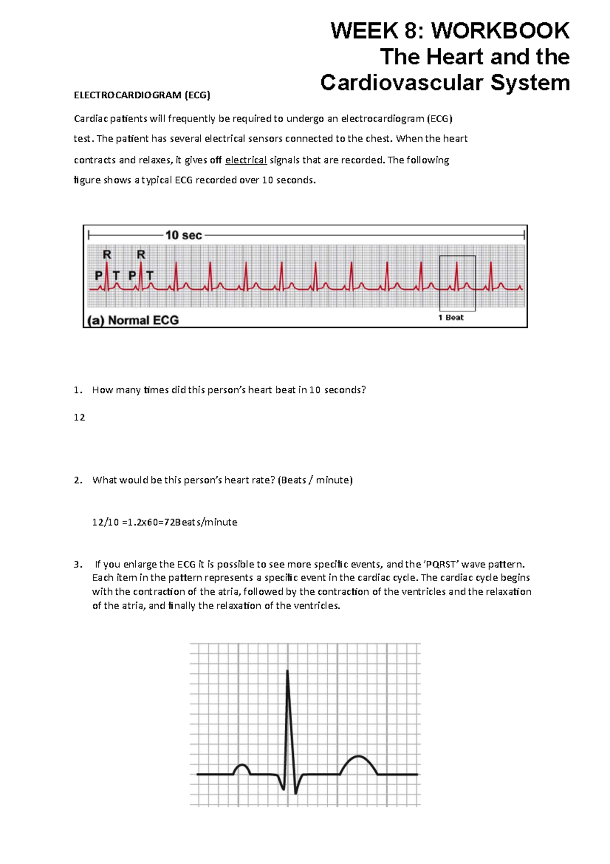 The heart and cardiovascular system workbook with questions such as ECG ...
