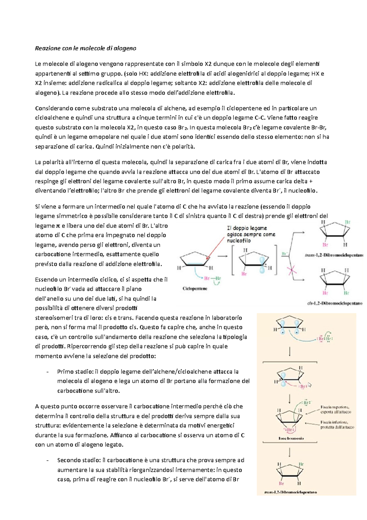Alcheni -appunti di lezioni - Reazione con le molecole di alogeno Le ...