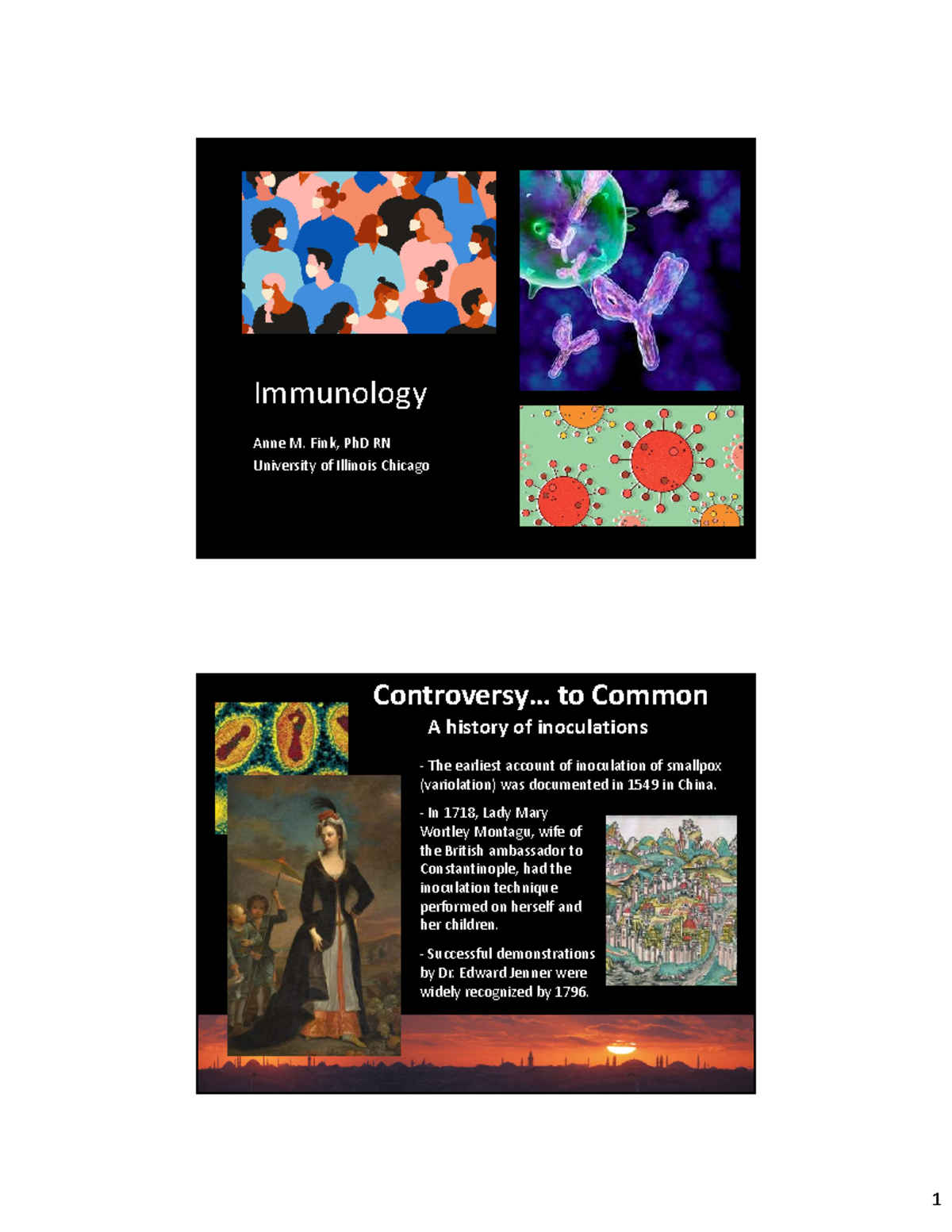 Immunology color 2 slides per page - Immunology Anne M. Fink, PhD RN ...