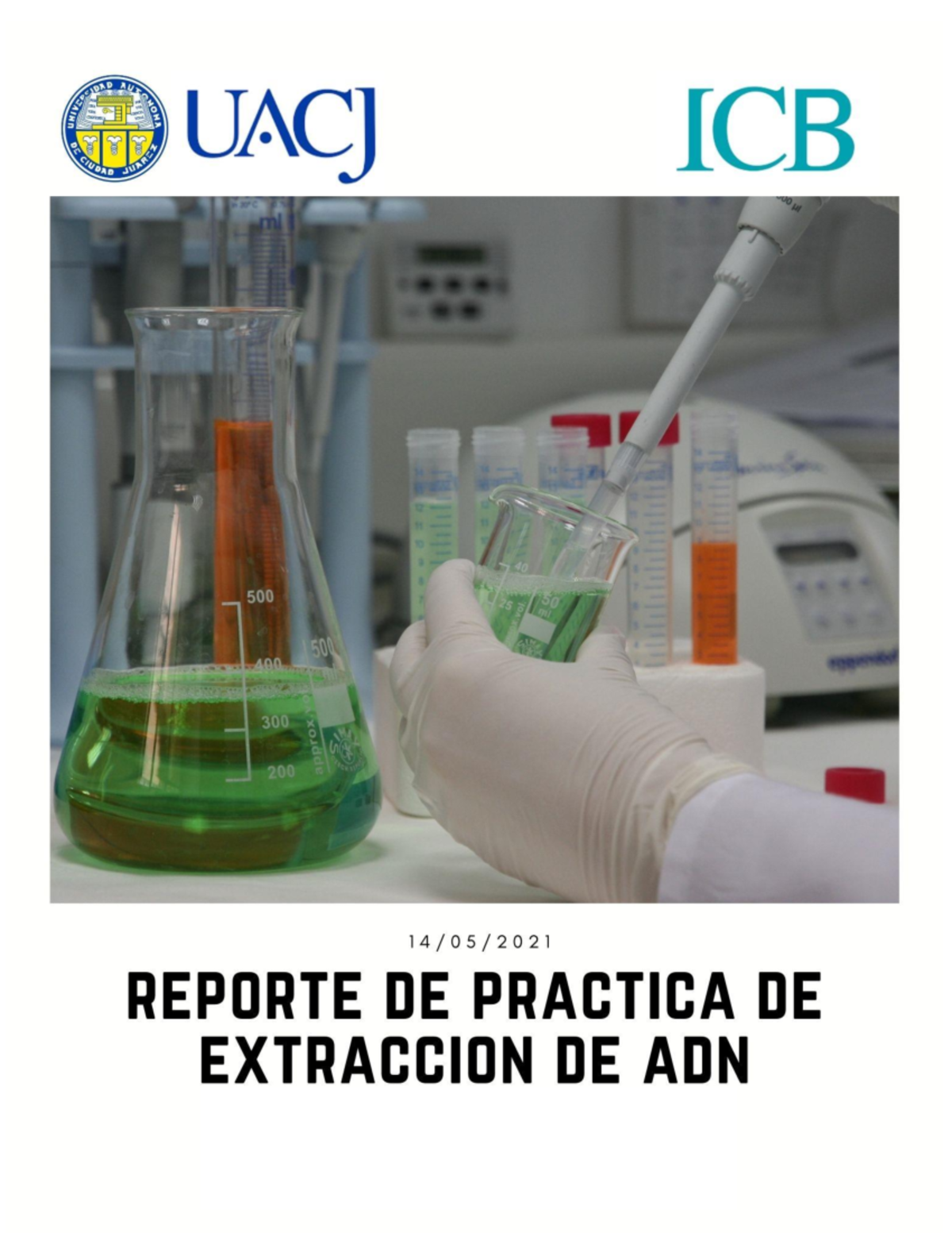 Reporte de practica de extraccion de ADN - Introducción Los ácidos nucleicos constituyen el ...