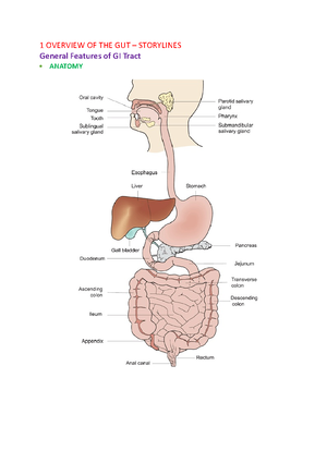 Adalimumab (Humira) ati Medication card - ACTIVE LEARNING TEMPLATES ...