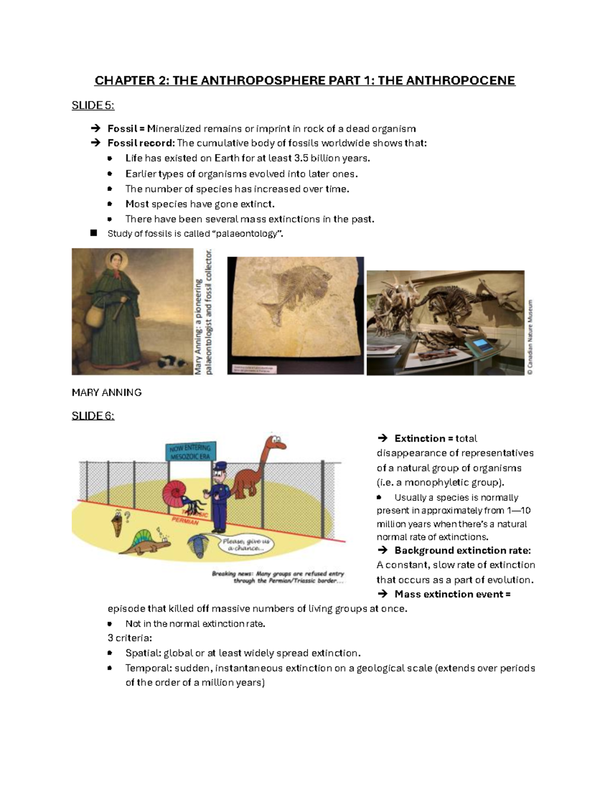 Chapter 2 Anthroposphere - CHAPTER 2: THE ANTHROPOSPHERE PART 1: THE ...