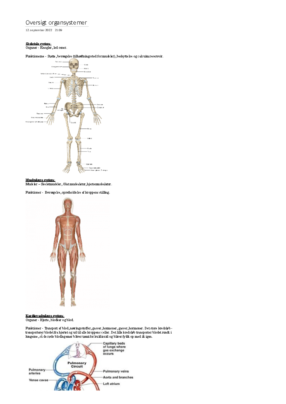 Oversigt organ system - Oversigt organsystemer september 2022 21 ...