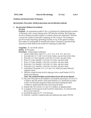Lab 2 Microbiology 1 - lab - Lab 2 Microbiology Dr. Kay Lab Practicum 2 ...