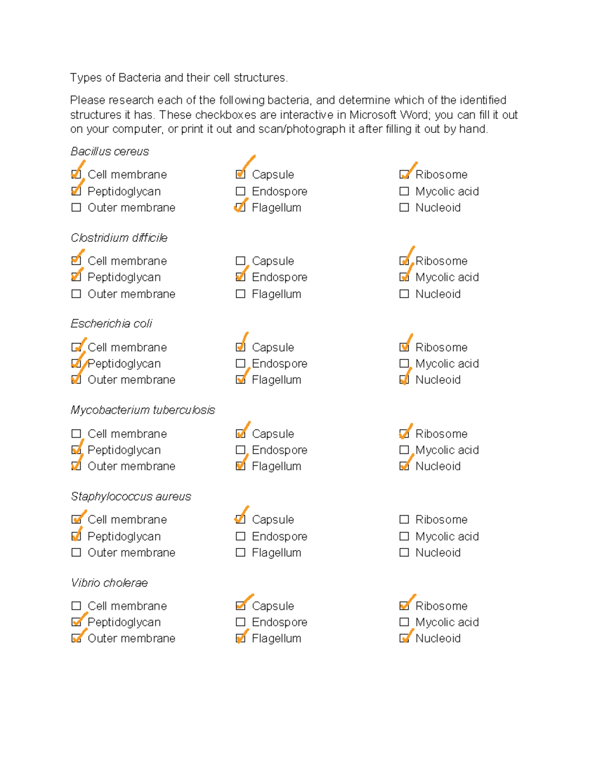 Cell+morphology - Worksheet - Types of Bacteria and their cell ...