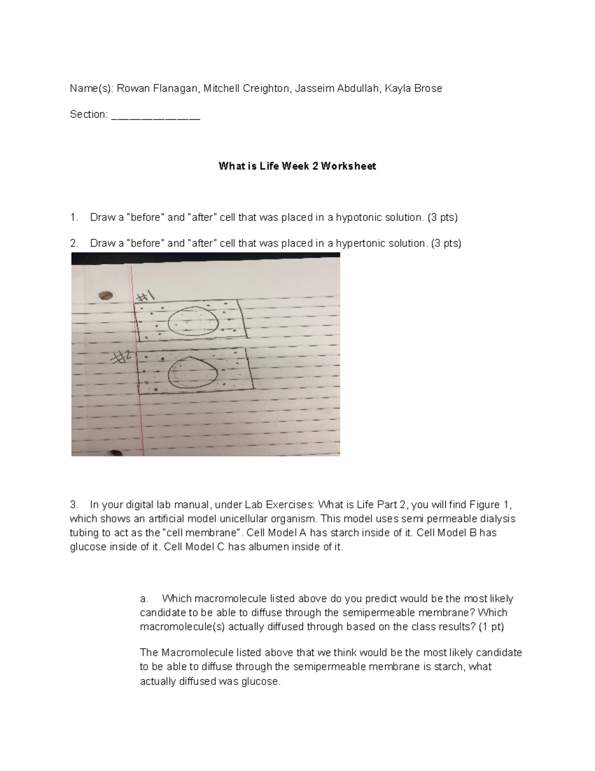 What is life week 2 - What is life week 2 - Name(s): Rowan Flanagan ...
